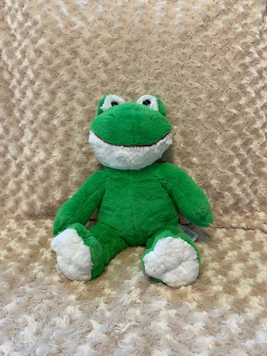 Build-A-Bear | Toys | Buildabear Workshop Friendly Frog Plush Stuffed ...